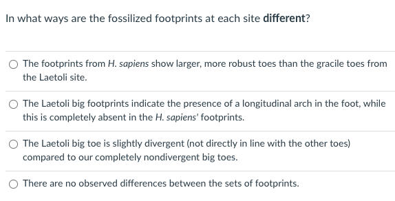Solved At the start of this lab, we discussed the footprints | Chegg.com