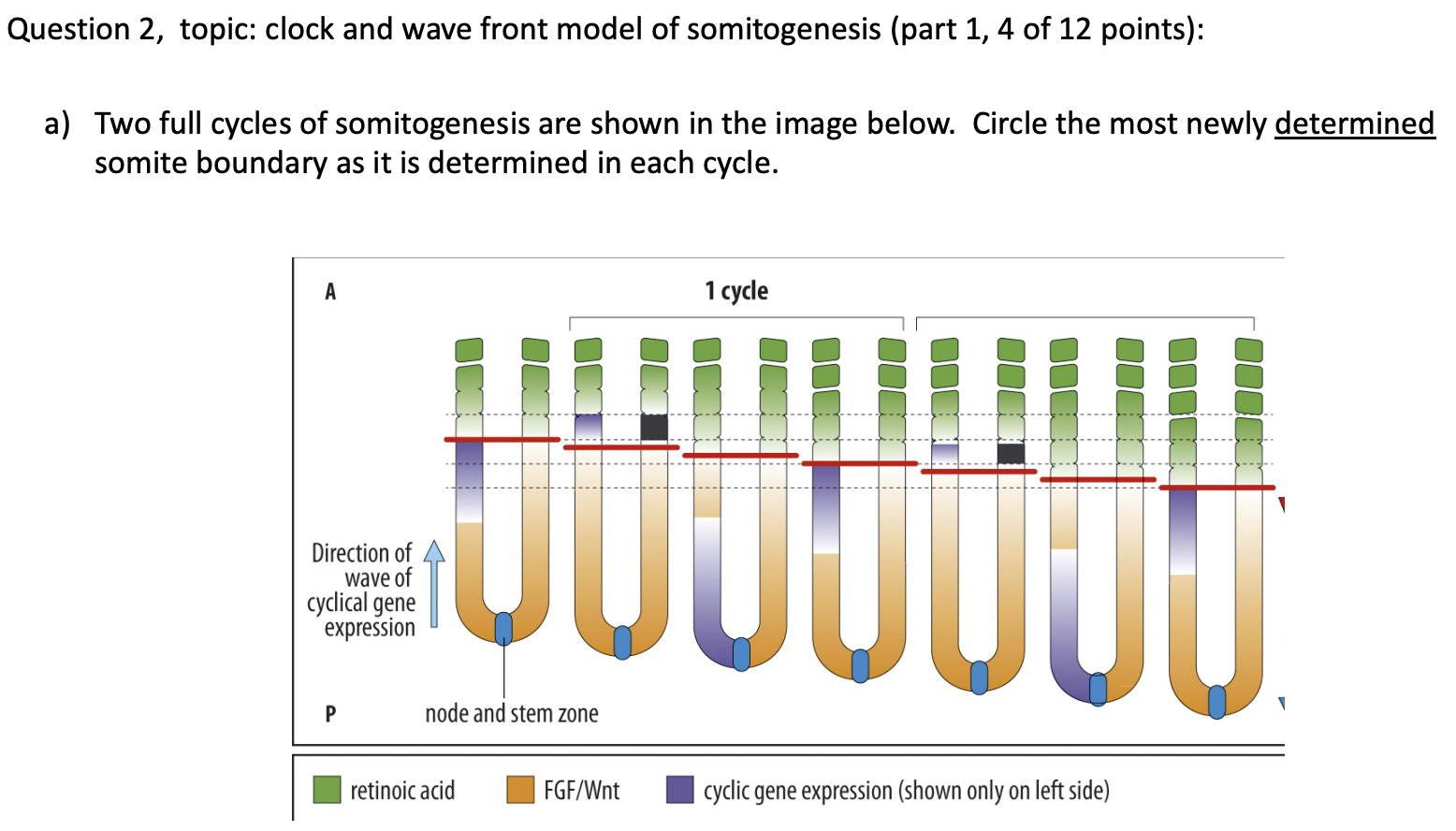 Question 2, topic: clock and wave front model of | Chegg.com