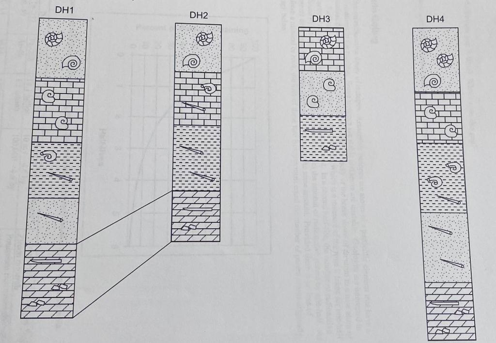 Solved Part 2: Stratigraphic Correlation A geologist's | Chegg.com