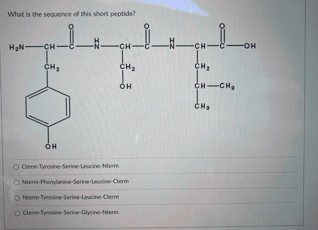 Solved What is the sequence of this short peptide? H2N-CH- | Chegg.com