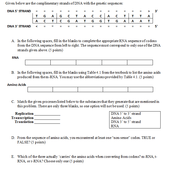 Solved Given below are the complimentary strands of DNA with | Chegg.com
