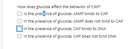 Solved How does glucose affect the behavior of CAP? In the | Chegg.com