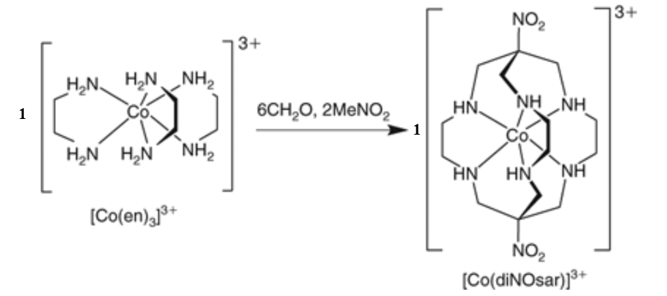 Solved Can someone help with developing a mechanism for the | Chegg.com