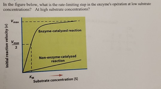Solved In the figure below, what is the rate-limiting step | Chegg.com