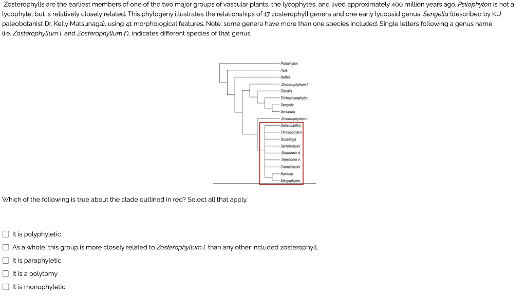 Solved Zosterophylls are the earliest members of one of the | Chegg.com