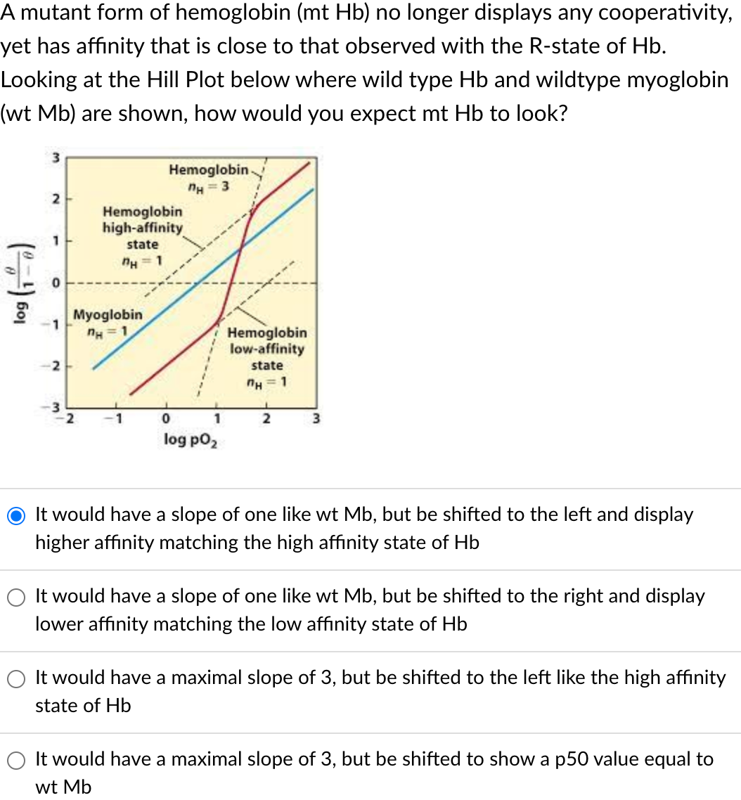 Solved A mutant form of hemoglobin (mt Hb) no longer | Chegg.com