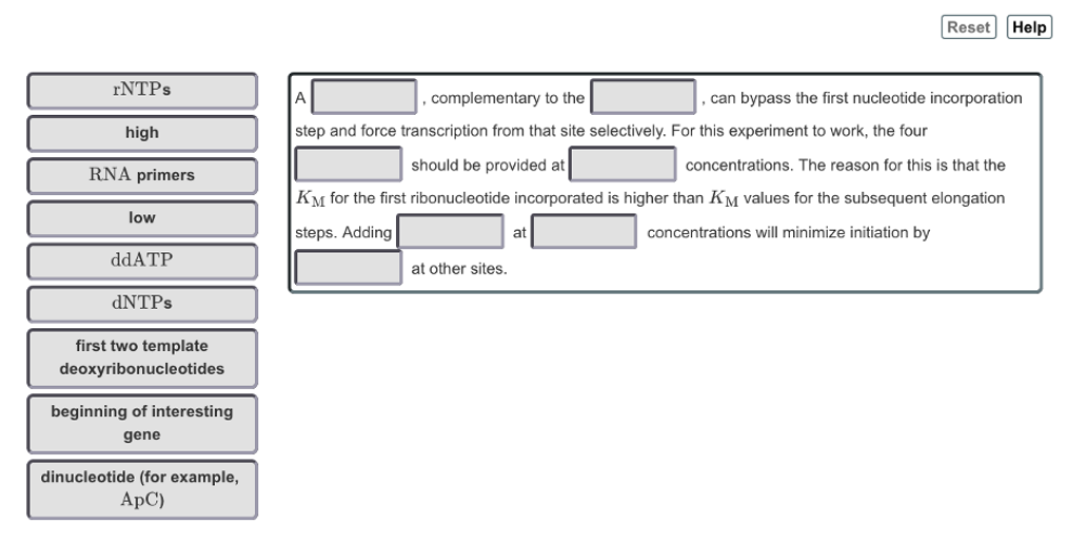Solved eset Help rNTPs high RNA primers low ddATP dNTPs | Chegg.com