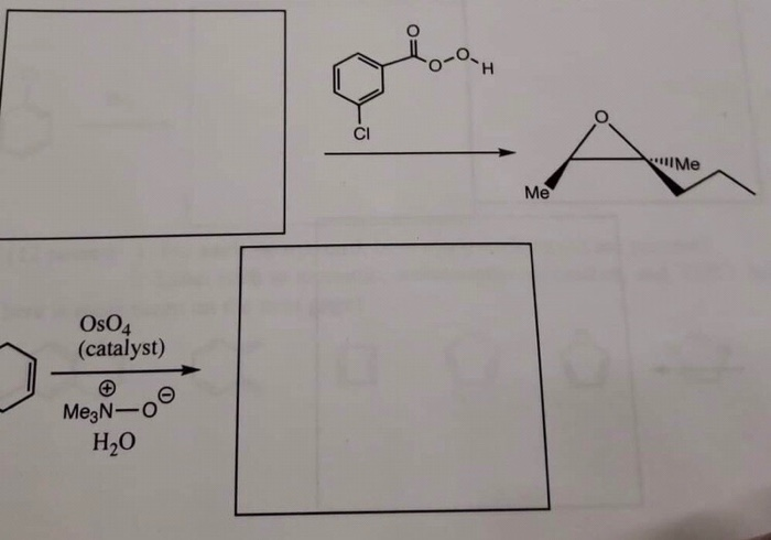 Solved Cl Me OsO4 (catalyst) Me3N-O H20 | Chegg.com