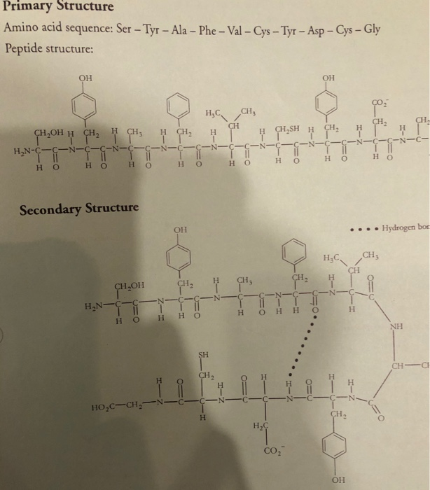 Solved Draw a recte around two different r groups on the | Chegg.com