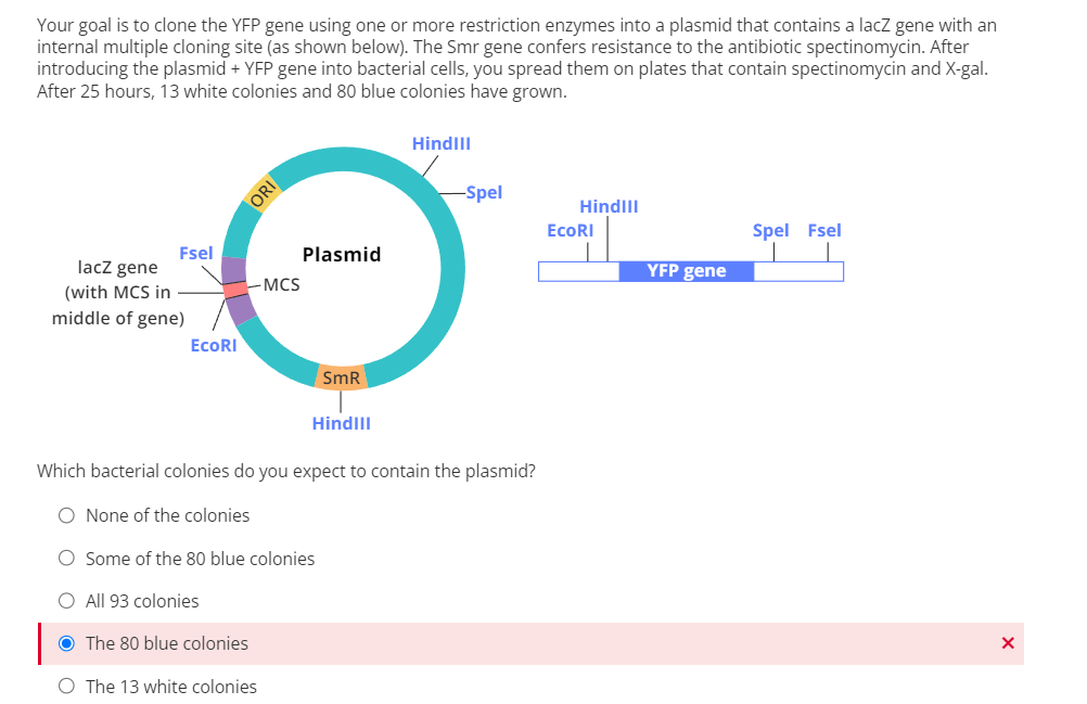 Solved Your goal is to clone the YFP gene using one or more | Chegg.com