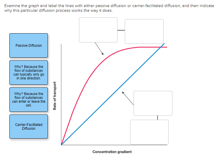 Solved Examine the graph and label the lines with either | Chegg.com