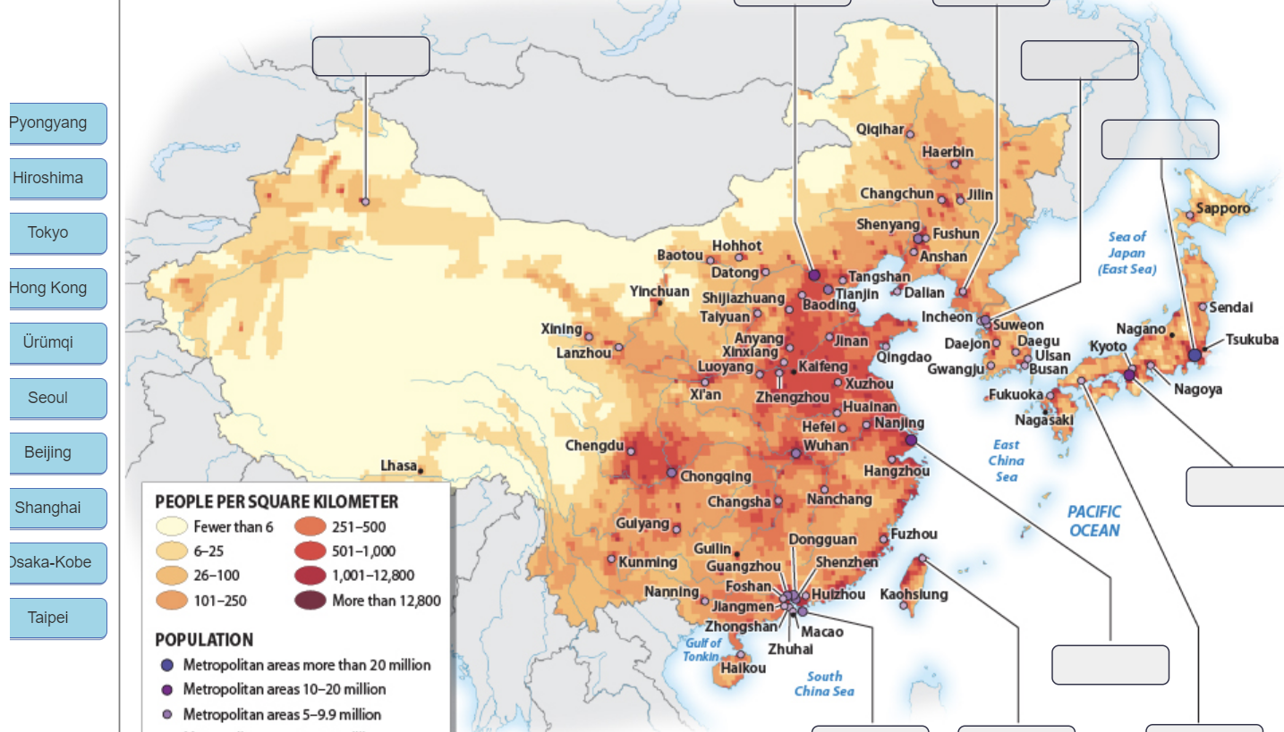 Solved Amsterdam Vienna Berlin London Oslo Madrid Tirana | Chegg.com