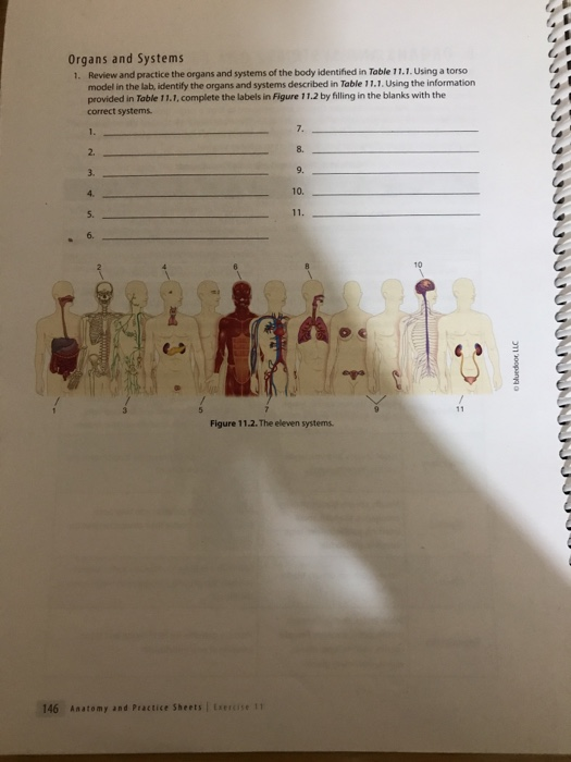 Solved Organs and Systems Review and practice the organs and | Chegg.com
