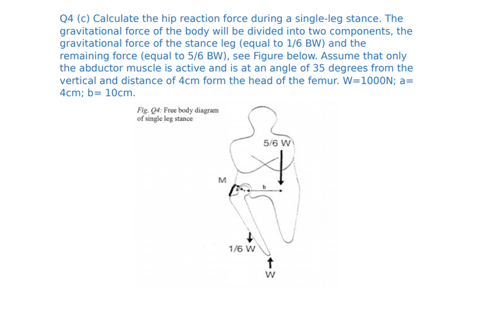Solved Q4 (c) Calculate the hip reaction force during a | Chegg.com