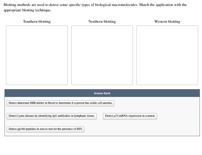 Solved Blotting methods are used to detect some specific | Chegg.com