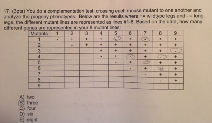 Solved 17. (3pts) You do a complementation test, crossing | Chegg.com