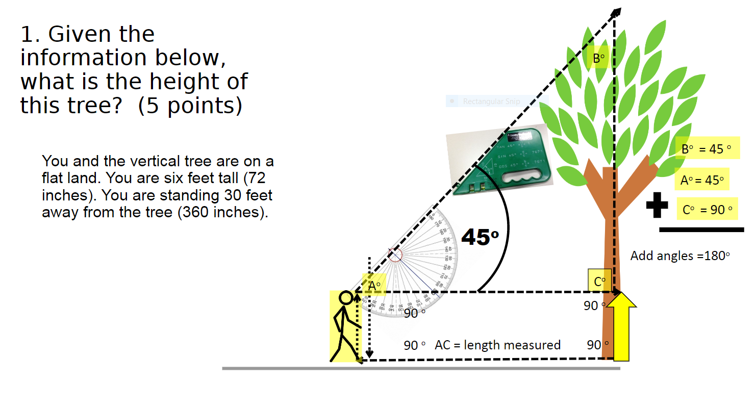 Solved BO 1. Given the information below, what is the height | Chegg.com