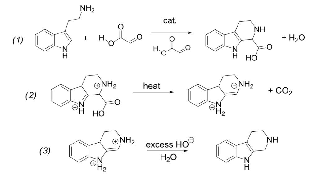 Solved NH2 cat. NH + H2O H HO 0NH2 +CO2 heat ④NH2 H2 NH ONH2 | Chegg.com