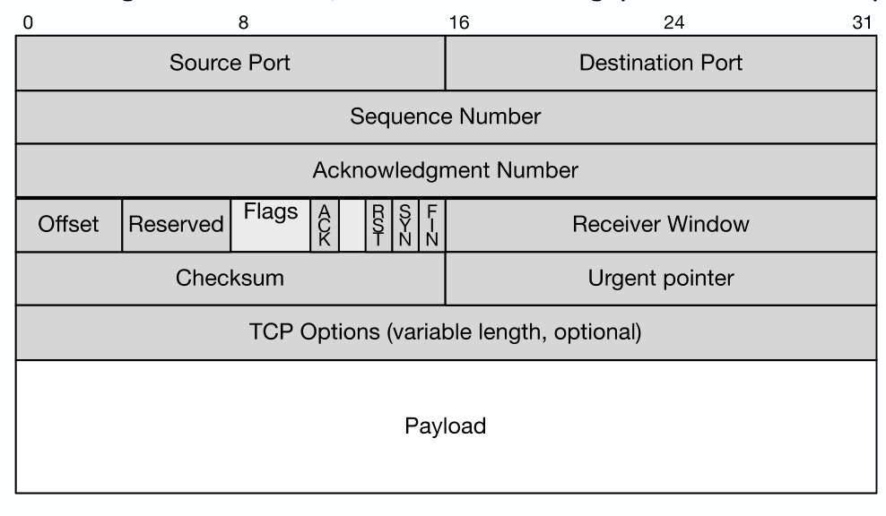 Solved - Considering just the sequence and acknowledgement | Chegg.com