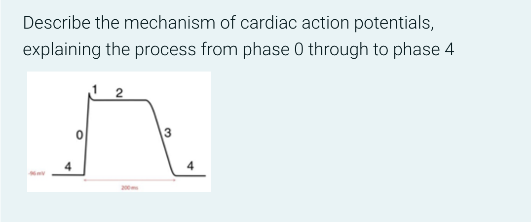 Solved Describe the mechanism of cardiac action potentials, | Chegg.com