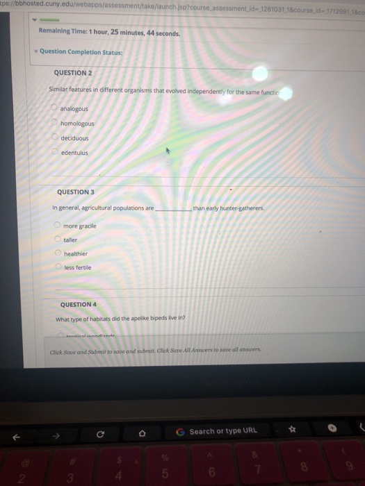 Solved tps://bbhosted.cuny.edu/webapps | Chegg.com
