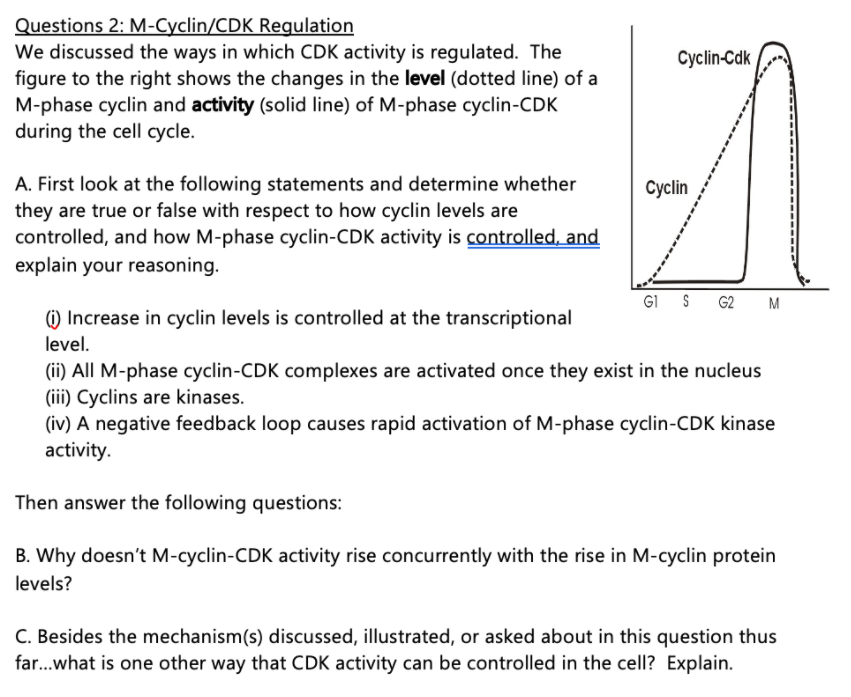 Solved Cyclin-Cdk Questions 2: M-Cyclin/CDK Regulation We | Chegg.com