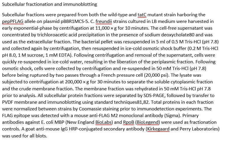 Solved Subcellular fractionation and immunoblotting | Chegg.com
