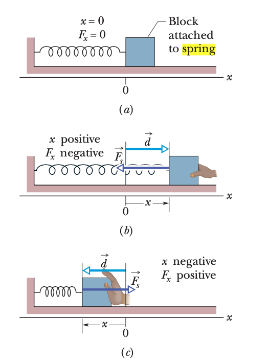 Solved Hi can you please answer all parts and provide | Chegg.com