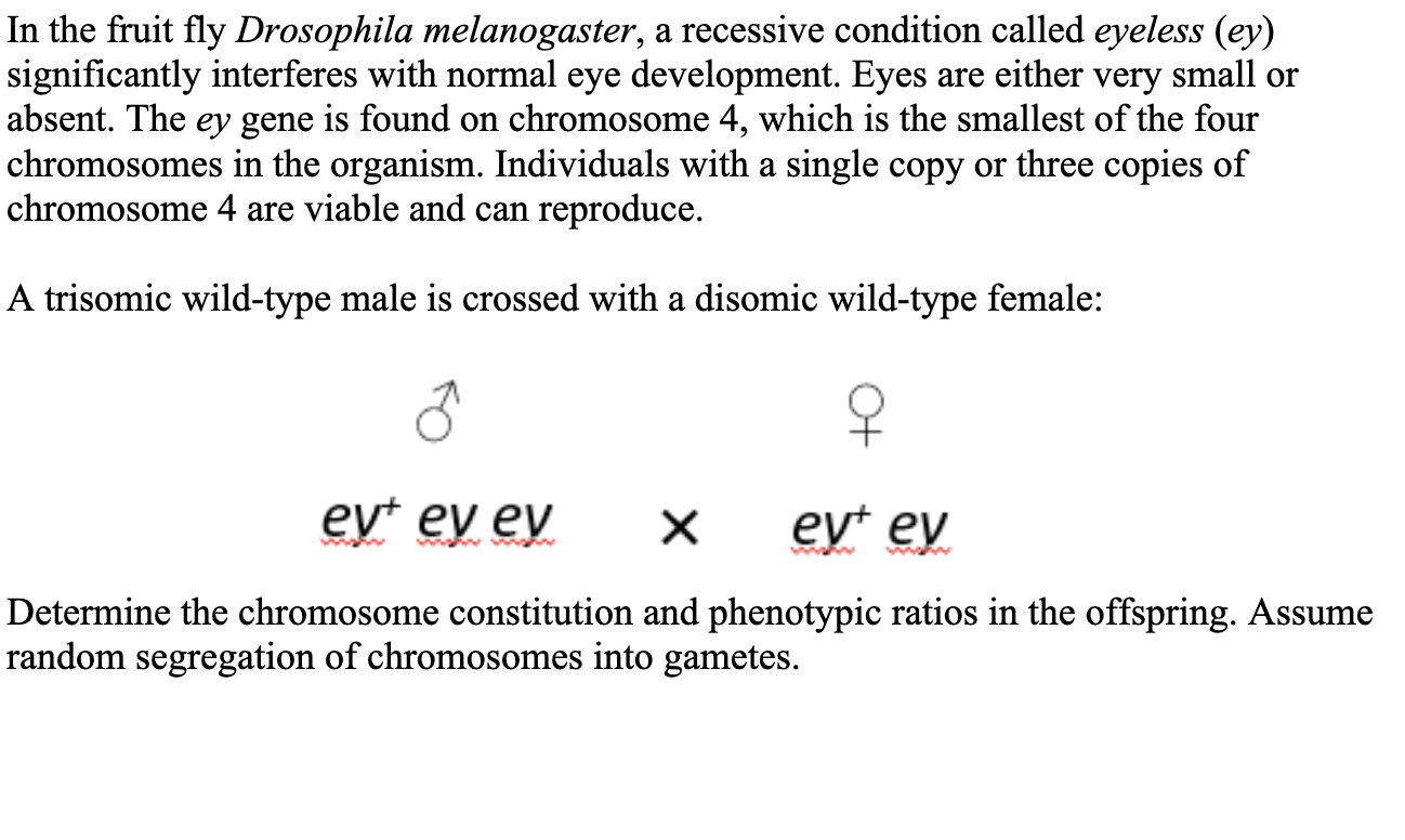 Solved In the fruit fly Drosophila melanogaster, a recessive | Chegg.com