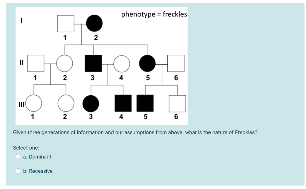 Solved phenotype = freckles 1 1 2. Il 1 2 3 4 5 6 Assuming | Chegg.com