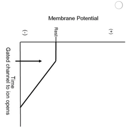 #1. Which of the below graphs best shows the change | Chegg.com