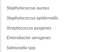 Staphylococcus Epidermidis Endospore Stain