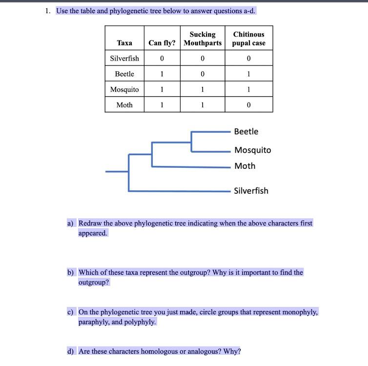 Solved 1. Use the table and phylogenetic tree below to | Chegg.com