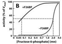 Solved Please help me out with this question: 13. Glycogen | Chegg.com