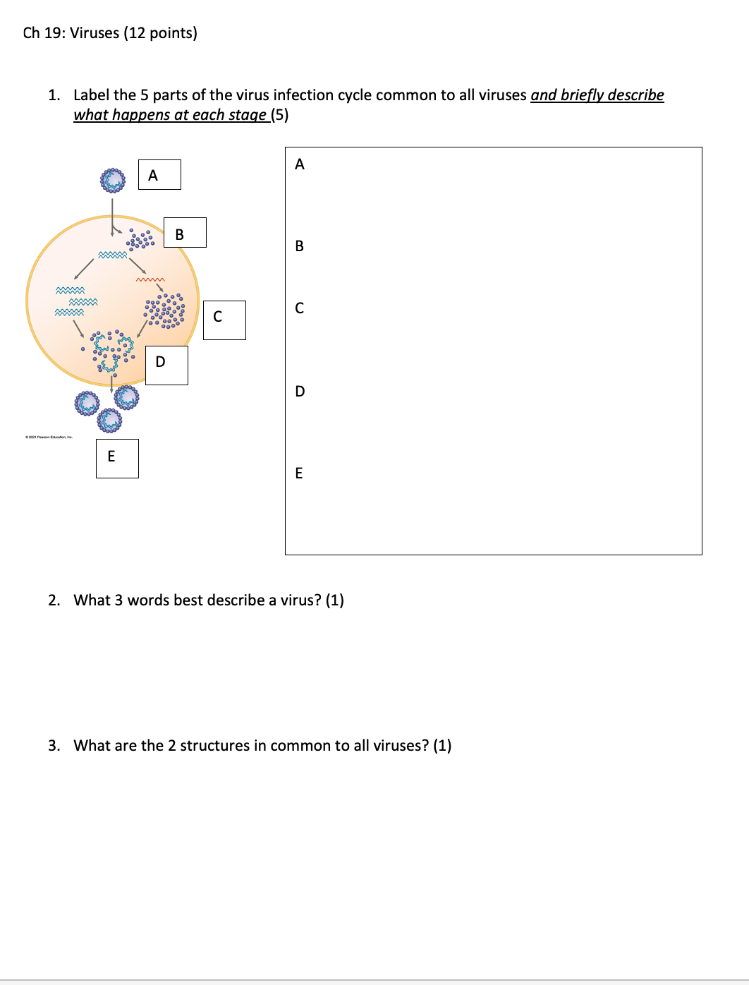 Solved Ch 19: Viruses (12 ﻿points)Label the 5 ﻿parts of the | Chegg.com