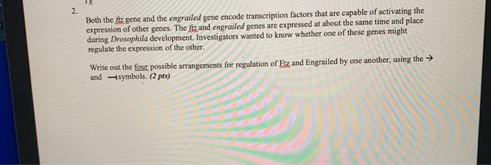 Solved Both the il gene and the engrailed gene encode | Chegg.com