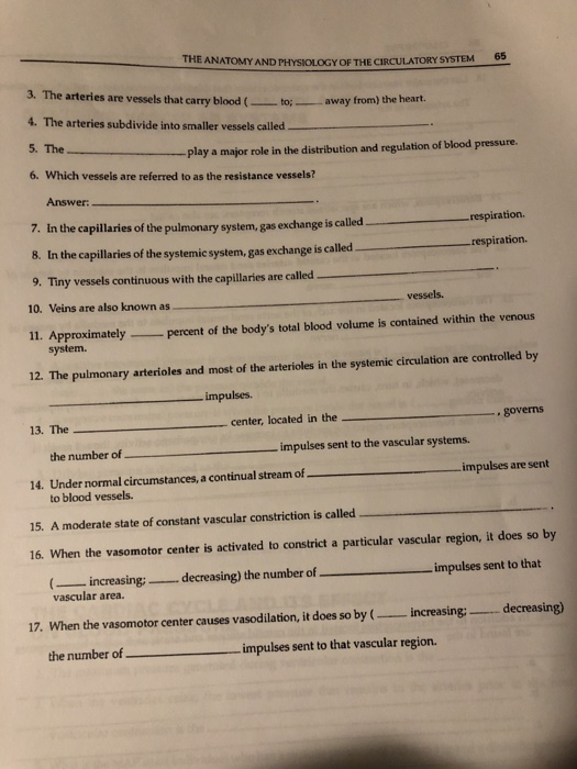 Solved THE ANATOMY AND PHYSIOLOGY OF THE CIRCULATORY SYSTEM | Chegg.com