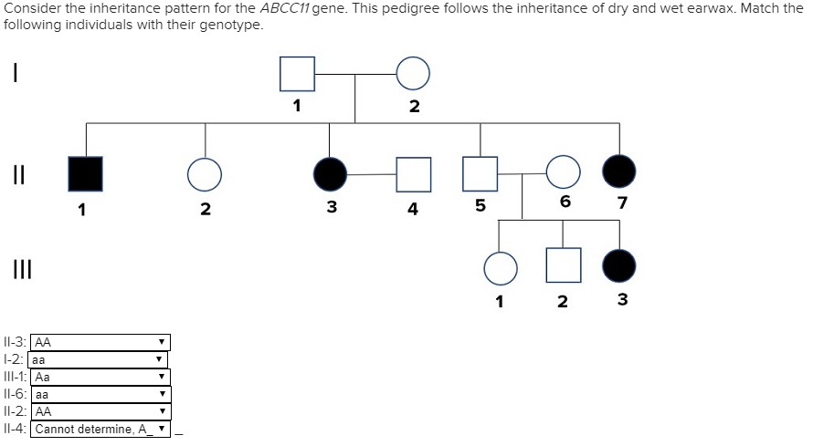 Solved Consider the inheritance pattern for the ABCC11 gene. | Chegg.com