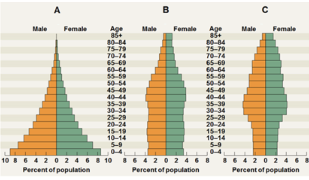 Solved Using the information available in age structure | Chegg.com