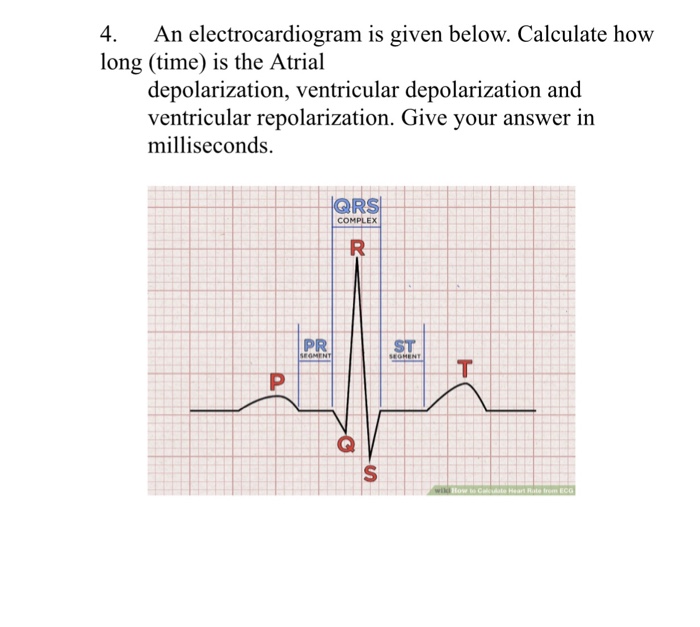 Solved An electrocardiogram is given below. Calculate how | Chegg.com
