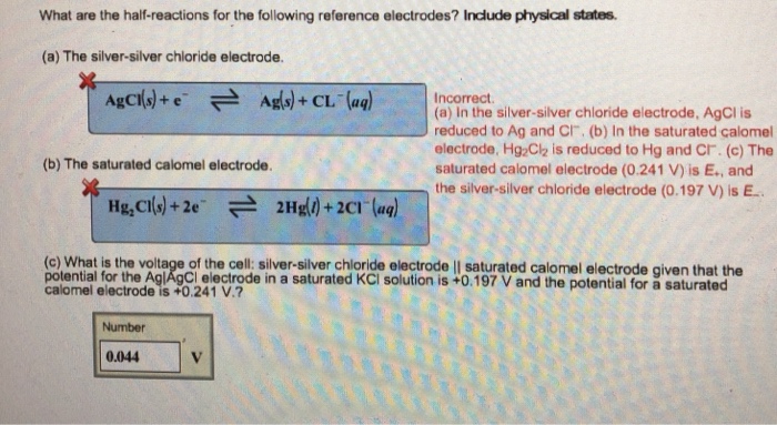 Solved What are the half-reactions for the following | Chegg.com