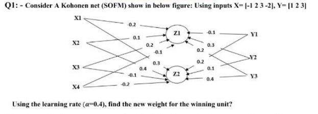 Solved Q1: - Consider A Kohonen net (SOFM) show in below | Chegg.com