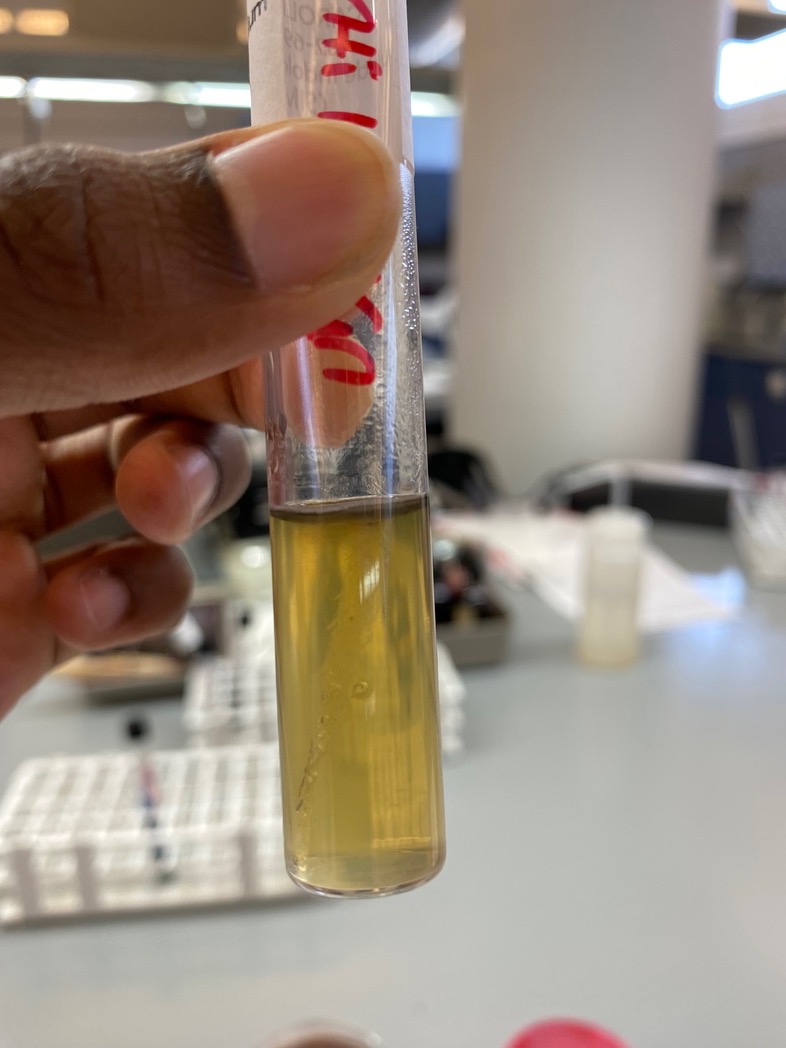 Solved What causes this black stuff at the top to form in a | Chegg.com