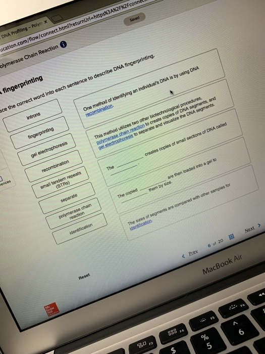 Solved DNA / flow/connect.html?returnUrl: httpsX3A%2F%2Fco | Chegg.com