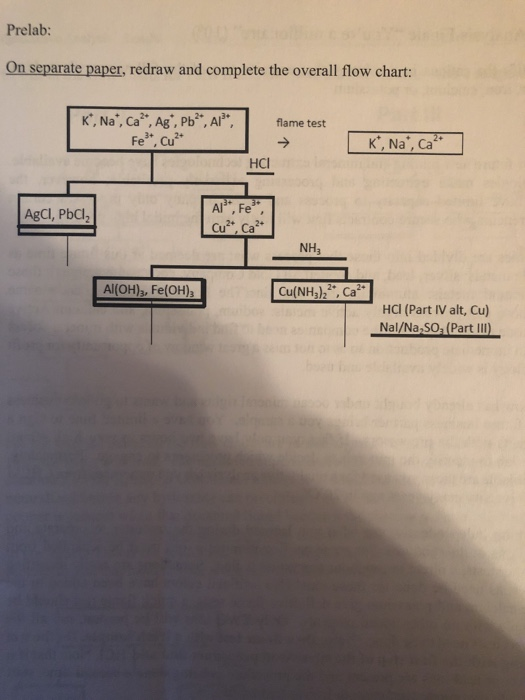 Prelab: On separate paper, redraw and complete the | Chegg.com