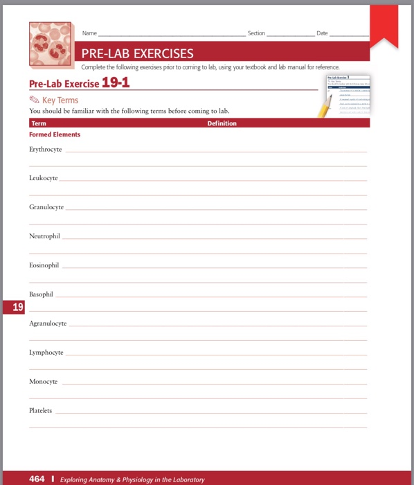 Solved Section Name Date PRE-LAB EXERCISES Complete the | Chegg.com