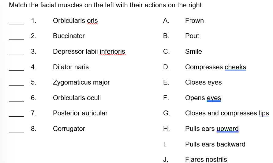 Solved Match the facial muscles on the left with their | Chegg.com