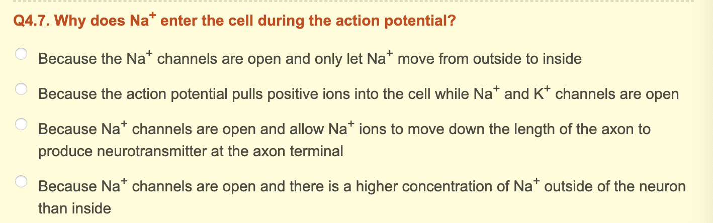 Solved Q4.7. Why does Na+enter the cell during the action | Chegg.com