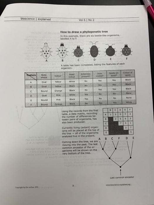 bioscience I explained Vol 61 No 2 How to draw a | Chegg.com