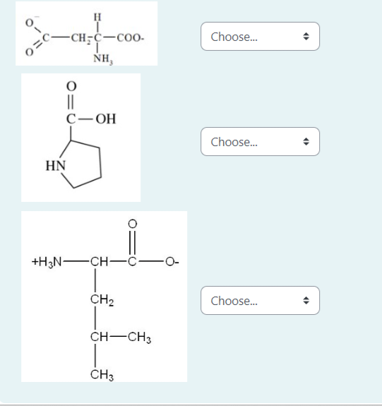 Solved Match the images of the following amino acids to | Chegg.com